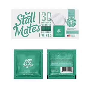 stall mates wipes: flushable, individually wrapped wipes for travel. unscented with vitamin-e & aloe (30 on-the-go singles)