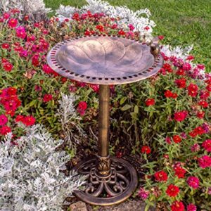 BACKYARD EXPRESSIONS PATIO · HOME · GARDEN 912449-NW Outdoor Garden Bird Bath- Bronze- Weather Resistant Polyresin-30 Inch-Backyard Expressions