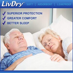 LivDry Adult M Incontinence Underwear, Overnight Comfort Absorbency, Leak Protection, Medium, 68-Pack