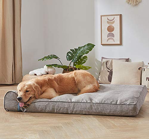 BDEUS 50 x 36 x 6.5In Orthopedic Dog Beds for Large Dogs Clearance Super Thick & Comfortable Pet Bed with Pillow, Washable Cover and Anti-Slip Bottom