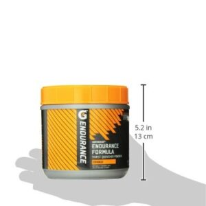 Gatorade Endurance Formula Powder, Orange, 32 Ounce (Pack of 1)