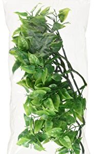 Zoo Med Laboratories SZMBU20 Natural Bushy Mexican Phyllo, Medium