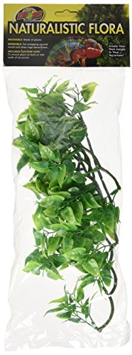 Zoo Med Laboratories SZMBU20 Natural Bushy Mexican Phyllo, Medium