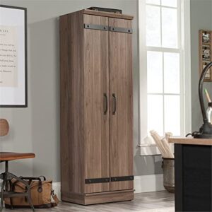 Sauder HomePlus 2-Door Farmhouse Storage Cabinet Salt Oak, Salt Oak Finish