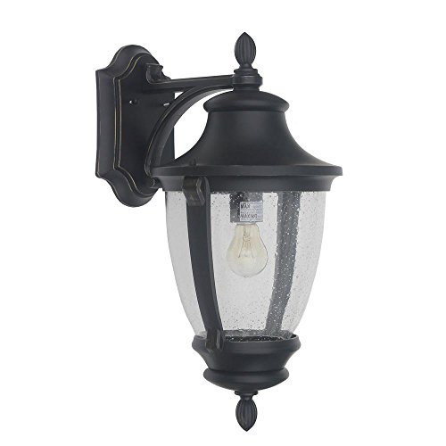 Home Decorators Collection Wilkerson 1-Light Black Outdoor Wall Mount