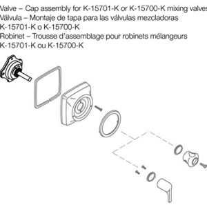 Kohler GP77886 K-GP77886 Faucet Valves