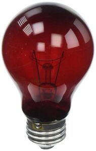 zoo med nightlight red reptile bulb 60 watts (4 pack)