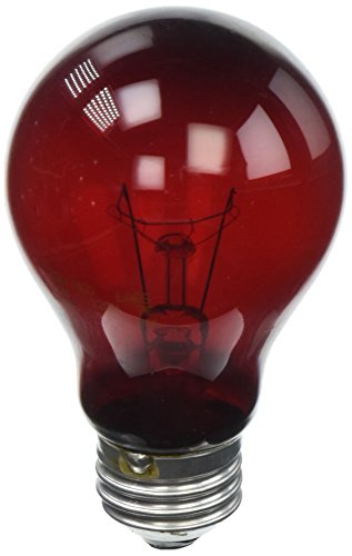 Zoo Med Nightlight Red Reptile Bulb 60 Watts (4 Pack)