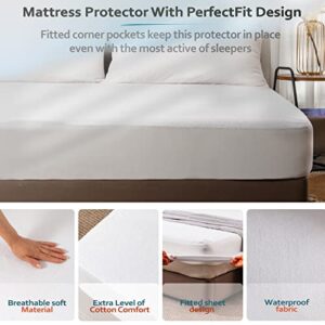 PlushDeluxe Waterproof Mattress Protector, Breathable Soft Cotton Terry Surface (Twin)