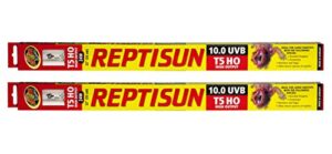 zoo med 2 pack of t5 ho reptisun 10.0 uvb lamps