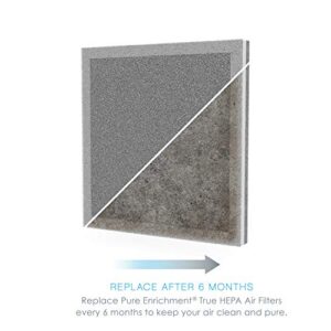 Pure Enrichment Genuine 3-in-1 True HEPA Replacement Filter for the PureZone Air Purifier - 2 Pack (PEAIRPLG)