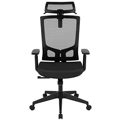 Flash Furniture Ergonomic Mesh Office Chair with Synchro-Tilt, Pivot Adjustable Headrest, Lumbar Support, Coat Hanger and Adjustable Arms in Black