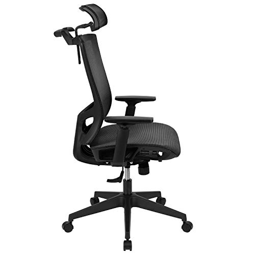 Flash Furniture Ergonomic Mesh Office Chair with Synchro-Tilt, Pivot Adjustable Headrest, Lumbar Support, Coat Hanger and Adjustable Arms in Black