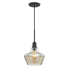 home decorators collection 1-light aged bronze pendant with amber plated glass shade and vintage bulb