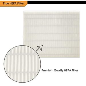 Smilyan 2 Sets 116130 Filter H Replacement for Winix 5500-2 Air Purifier, Includes 2 Pack Ture HEPA Filters + 2 Pack Activated Carbon Pre-Filters