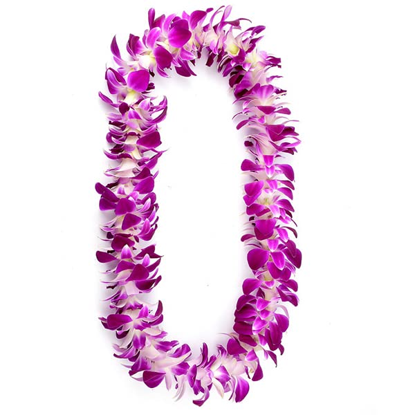 Sunne Tropical OrchidClub USA Loose Bloom Fresh Orchid Flower Head DIY Lei, food & drink decoration (100 PURPLE)