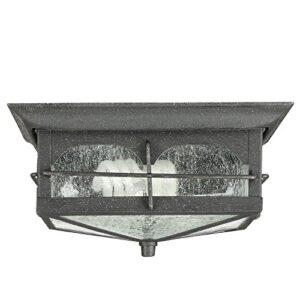 home decorators collection flushmount 2-light outdoor aged iron lantern