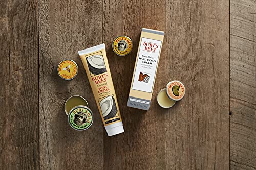 Burt's Bees Easter Basket Stuffers Gifts, 5 Body Care Products, Classics Set - Original Beeswax Lip Balm, Cuticle Cream, Hand Salve, Res-Q Ointment, Hand Repair Cream & Foot Cream, in Giftable Tin