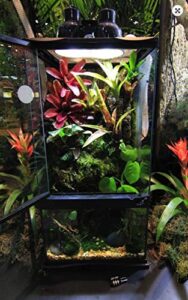 zoo med paludarium habitat kit – 12″ x 12″ x 24″