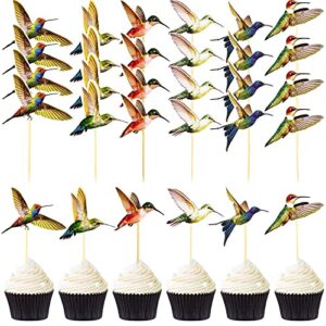 24 pieces hummingbird cupcake topper hummingbird cake bird decoration cupcake picks toothpicks with hummingbird shape hummingbird cake bird decoration for birthday christmas party cake decoration