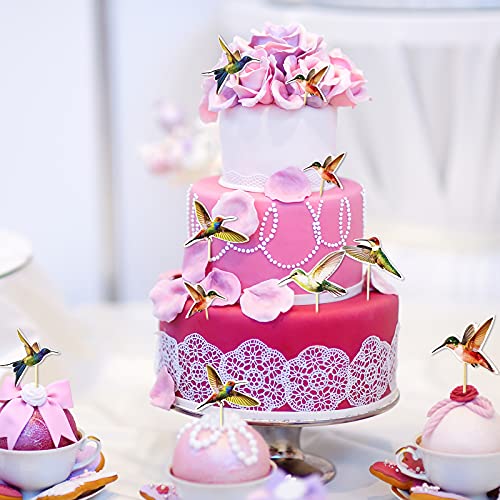 24 Pieces Hummingbird Cupcake Topper Hummingbird Cake Bird Decoration Cupcake Picks Toothpicks with Hummingbird Shape Hummingbird Cake Bird Decoration for Birthday Christmas Party Cake Decoration