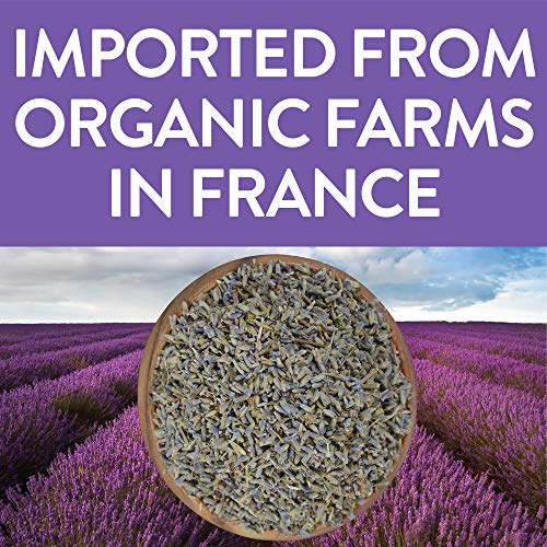 Organic Lavender Flowers Dried | Perfect for Tea, Baking, Lemonade, DIY Beauty, Sachets & Fresh Fragrance | 100% Raw From France | Jumbo 16oz Resealable Kraft Bag | by FGO