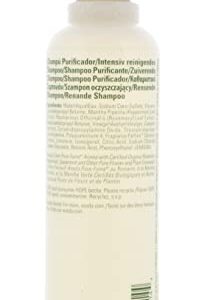 Aveda Rosemary Mint Purifying Shampoo, 8.5 oz