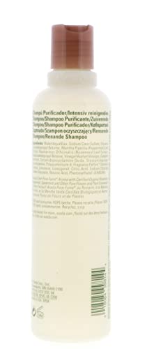 Aveda Rosemary Mint Purifying Shampoo, 8.5 oz