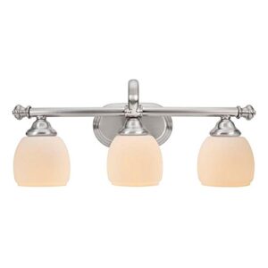 home decorators collection cedar cove 3-light brushed nickel bath light 10000031004