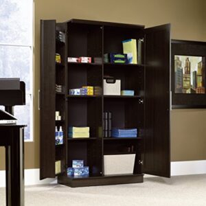 Sauder HomePlus Collection Storage Cabinet, Dakota Oak finish