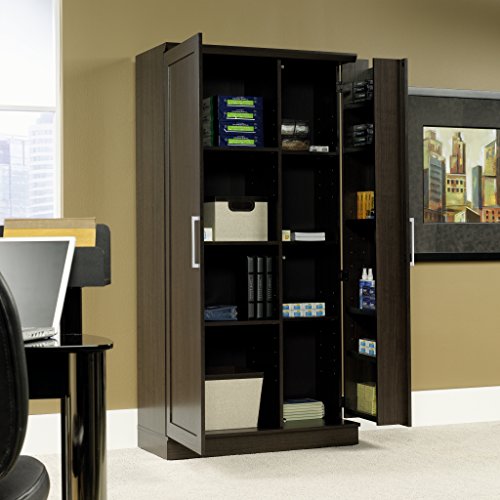 Sauder HomePlus Collection Storage Cabinet, Dakota Oak finish