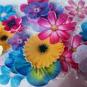 CHOCKACAKE Edible Flowers for Cake Decorating Topper Sunflowers for Cupcakes Drinks Decorations (72pcs)