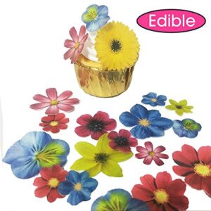 CHOCKACAKE Edible Flowers for Cake Decorating Topper Sunflowers for Cupcakes Drinks Decorations (72pcs)