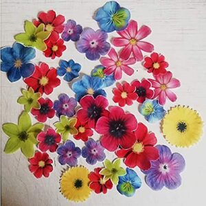 CHOCKACAKE Edible Flowers for Cake Decorating Topper Sunflowers for Cupcakes Drinks Decorations (72pcs)