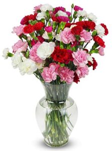 benchmark bouquets 20 stem rainbow mini carnations, with vase (fresh cut flowers)