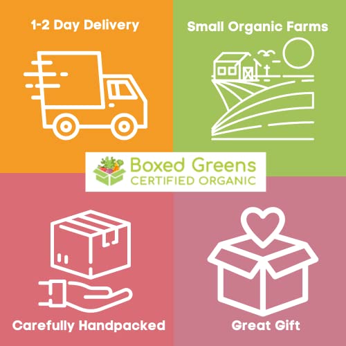 Boxed Greens 20lbs Organic Fruit Gift Basket - Box Includes Bananas, Apples, Oranges, Pears, Kiwis, Berries, Lemons, Limes, Pineapple - Great Gift for Family, Friends, & Coworkers - Fresh Fruit Assortment