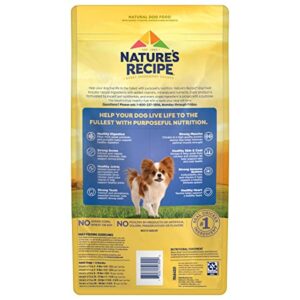 Nature's Recipe Grain Free Small Breed Dry Dog Food, Chicken, Sweet Potato & Pumpkin Recipe, 4 Pounds, Easy to Digest (Package May Vary)