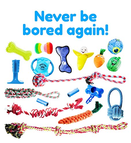 Pacific Pups Products for Dogs 18 Piece Dog Toy Set with Dog Chew Toys, Rope Toys for Dogs, Plush Dog Toys and Dog Treat Dispenser Ball - Supports Non-Profit Dog Rescue