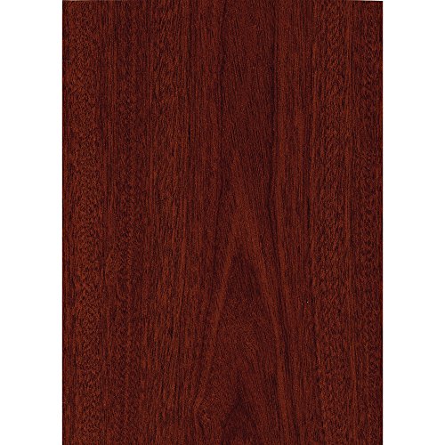 Bush Business Furniture Series C 2 Drawer Mobile File Cabinet in Mahogany