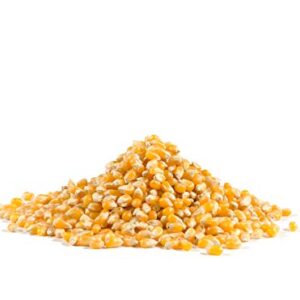 Bob's Red Mill Whole Yellow Popcorn, 30-ounce (Pack of 4)