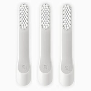 quip Electric Toothbrush Head for Electric Brush 3 Packs (Toothbrush Heads Only)