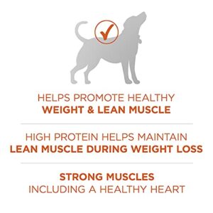 Purina ONE Plus Healthy Weight High-Protein Dog Food Dry Formula - 8 Lb. Bags