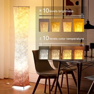 chiphy Floor Lamp, 64" Tall Lamp with Remote Control, Dimmable 10 Levels Color Temperature 12W/2 LED Bulbs (2400 Lumens, 100 Watt Equivalent) and Red Lampshade, Unique for Living Room