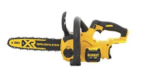 dewalt 20v max* xr chainsaw, 12-inch, tool only (dccs620b)