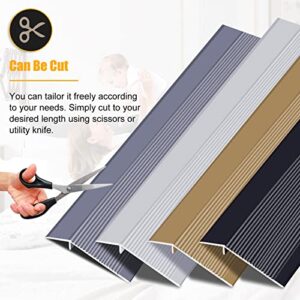 ERRULAN Aluminium Floor Transition Strip for Doorway, Carpet/Tile Threshold Reducer, Door Entry Ramp for Uneven Vinyl Floor, 10cm Extra Wide (Size : Length 145cm/57 in)