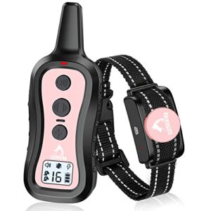 patpet dog training collar with remote(8-100 lbs), rechargeable shock collar for medium dogs, up to 1000 ft remote range ipx7 waterproof dog shock collar