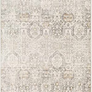 Hauteloom Bluffs Moroccan Farmhouse Living Room Bedroom Dining Room Area Rug - Bohemian Style - Boho Vintage Distressed - Beige, Gray, Brown, Cream 6'7" x 9'