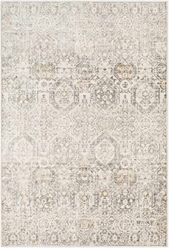 Hauteloom Bluffs Moroccan Farmhouse Living Room Bedroom Dining Room Area Rug - Bohemian Style - Boho Vintage Distressed - Beige, Gray, Brown, Cream 6'7" x 9'