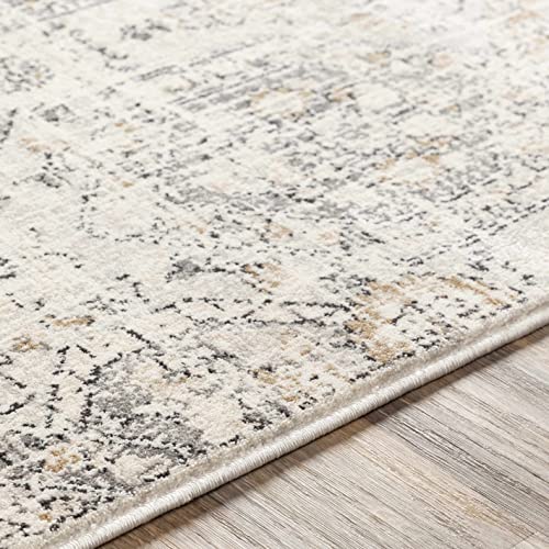 Hauteloom Bluffs Moroccan Farmhouse Living Room Bedroom Dining Room Area Rug - Bohemian Style - Boho Vintage Distressed - Beige, Gray, Brown, Cream 6'7" x 9'