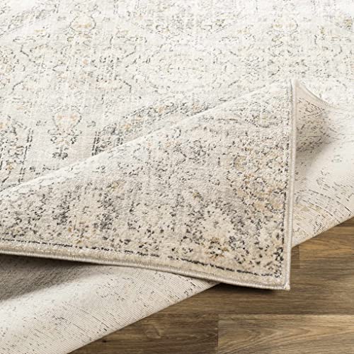 Hauteloom Bluffs Moroccan Farmhouse Living Room Bedroom Dining Room Area Rug - Bohemian Style - Boho Vintage Distressed - Beige, Gray, Brown, Cream 6'7" x 9'